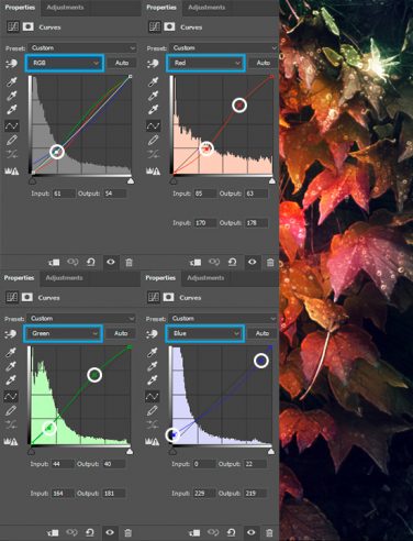 Create Magical Fairy Photo Manipulation in Photoshop - PSD Vault
