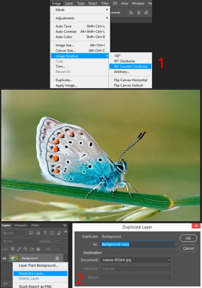 How to Create a Fairytale Composition in Photoshop - PSD Vault