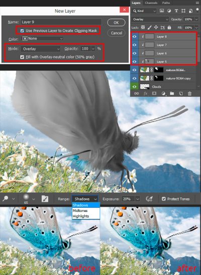 How to Create a Fairytale Composition in Photoshop - PSD Vault