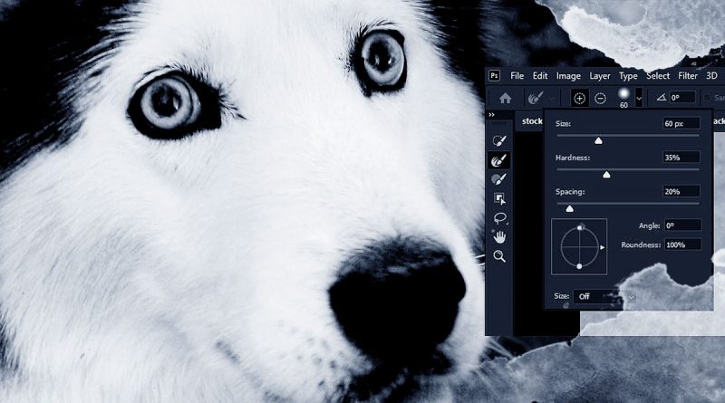 How to Use Refine Edge Brush to Drastically Improve Selection in ...