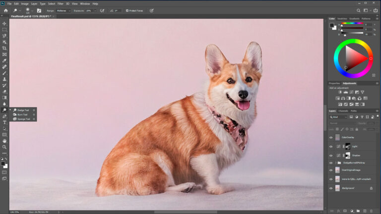 Dodge & Burn Tool in Photoshop - The Beginner's Guide - PSD Vault