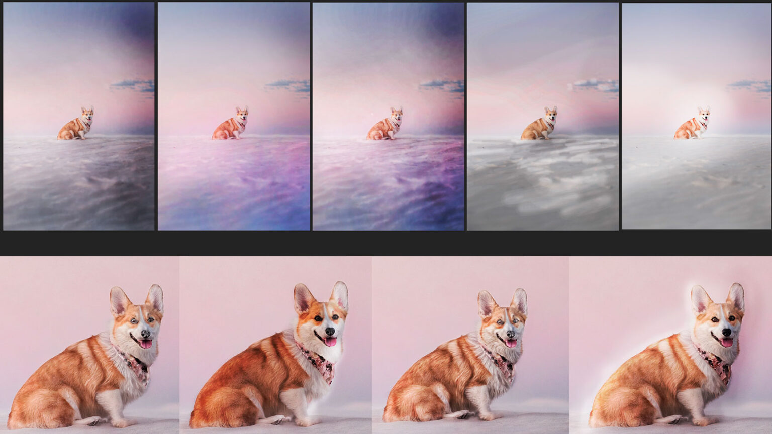 Dodge & Burn Tool in Photoshop - The Beginner's Guide - PSD Vault