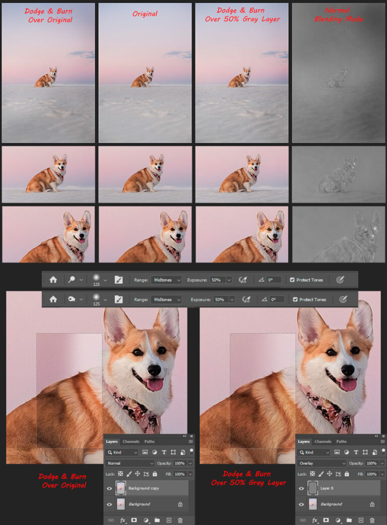 Dodge & Burn Tool in Photoshop - The Beginner's Guide - PSD Vault