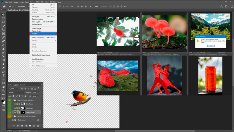 Top Tips on Selecting & Removing Unwanted Objects in Photoshop - PSD Vault