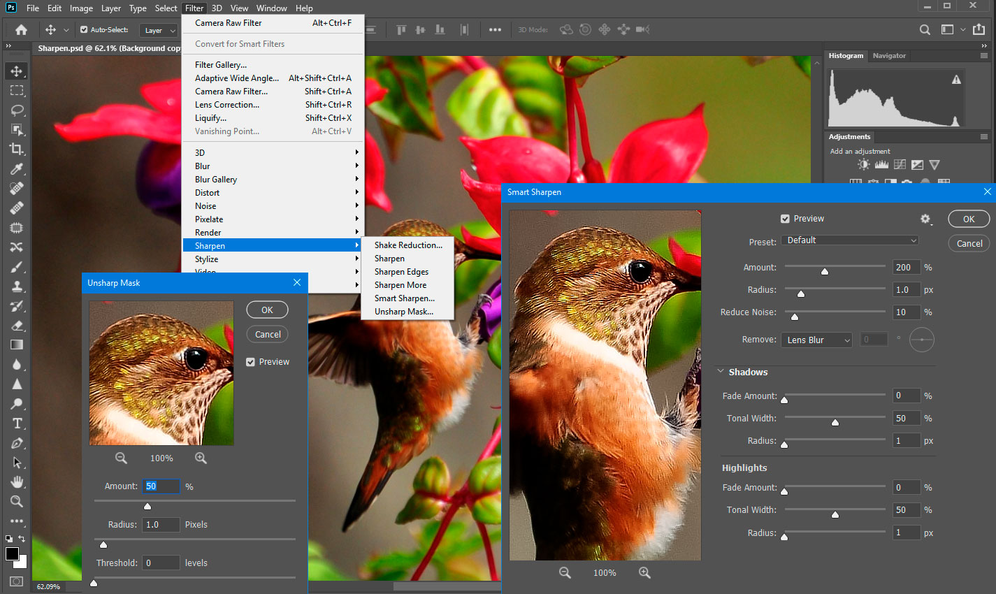 Image Sharpening in Photoshop - A Comprehensive Guide - PSD Vault