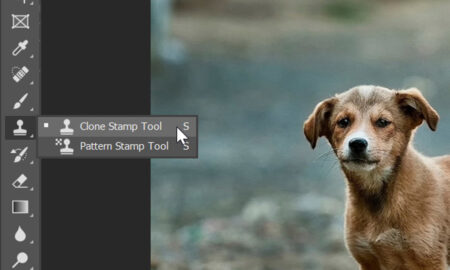 The Beginner's Guide to Clone Stamp Tool in Photoshop - PSD Vault