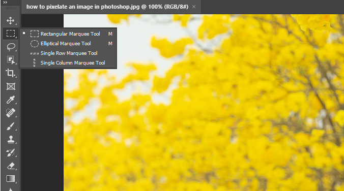 How to pixelate your images - ITS