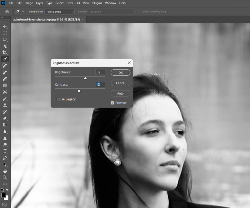 A Beginner's Guide to Photoshop's Adjustment Layers