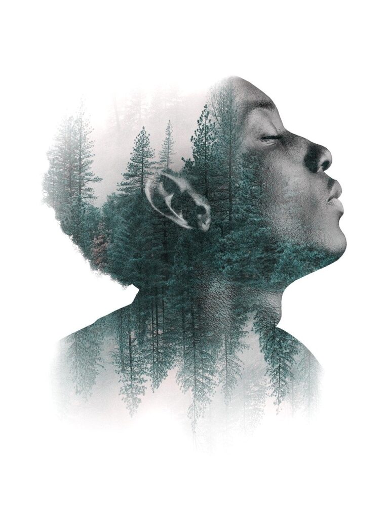 The Double-Edged Sword: Examining the Photoshop Subscription Model