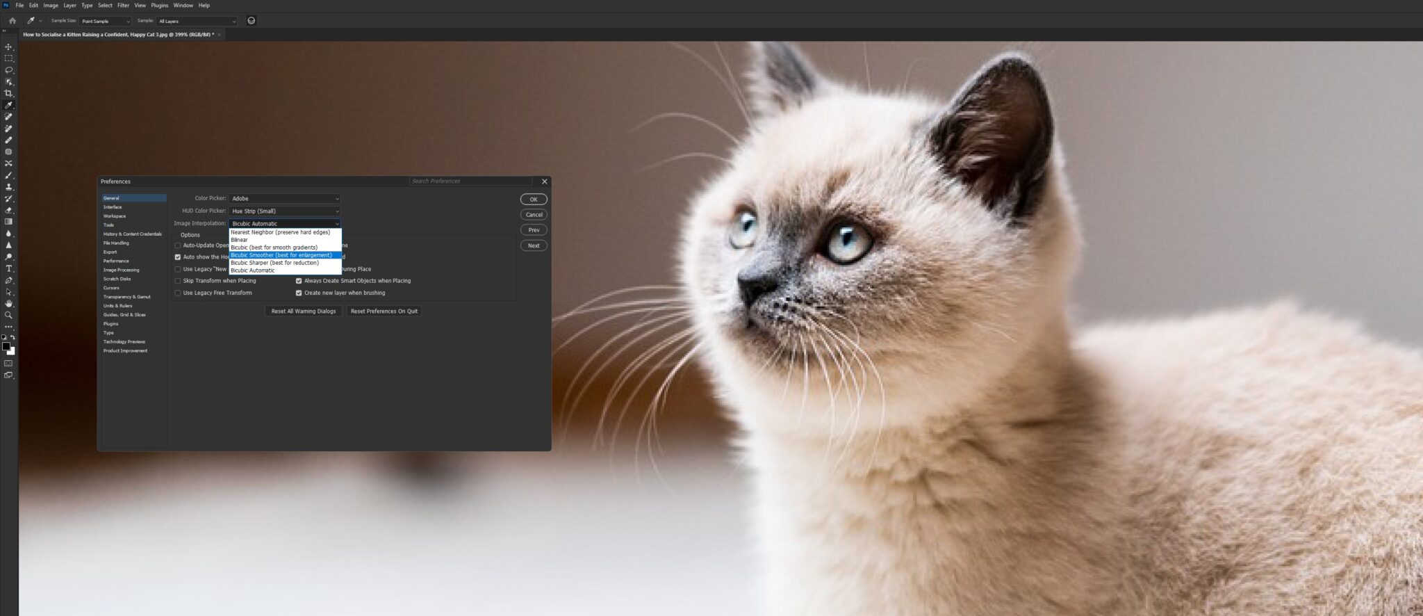 How to Use Image Interpolation in Photoshop for Flawless Image Resizing ...