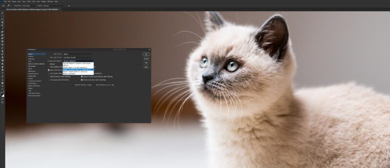 How to Use Image Interpolation in Photoshop for Flawless Image Resizing - PSD Vault