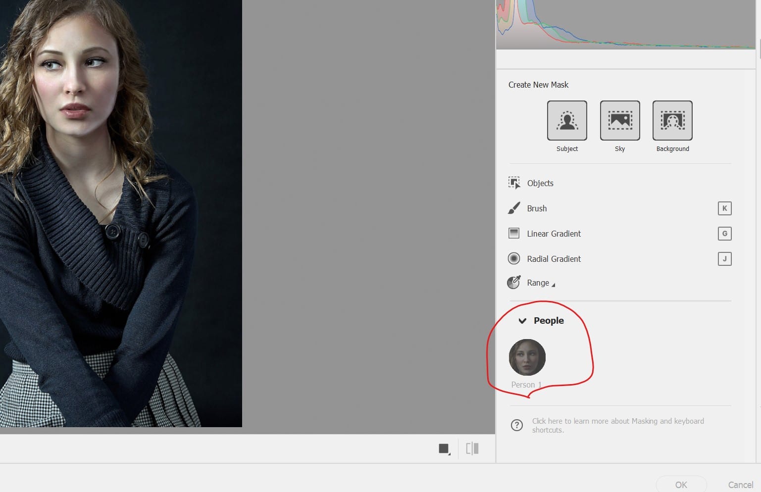 The Beginner's Guide to Photoshop AI Masking Tool - PSD Vault