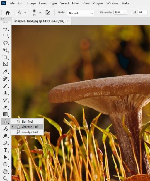 Unlock the Power of Photoshop's Sharpening Tools