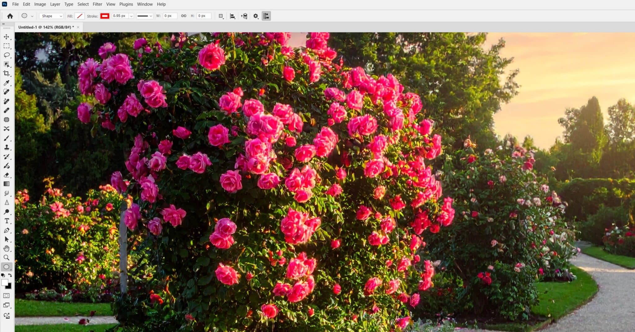 How to Refine Adobe Firefly Generations Directly in Photoshop with ...
