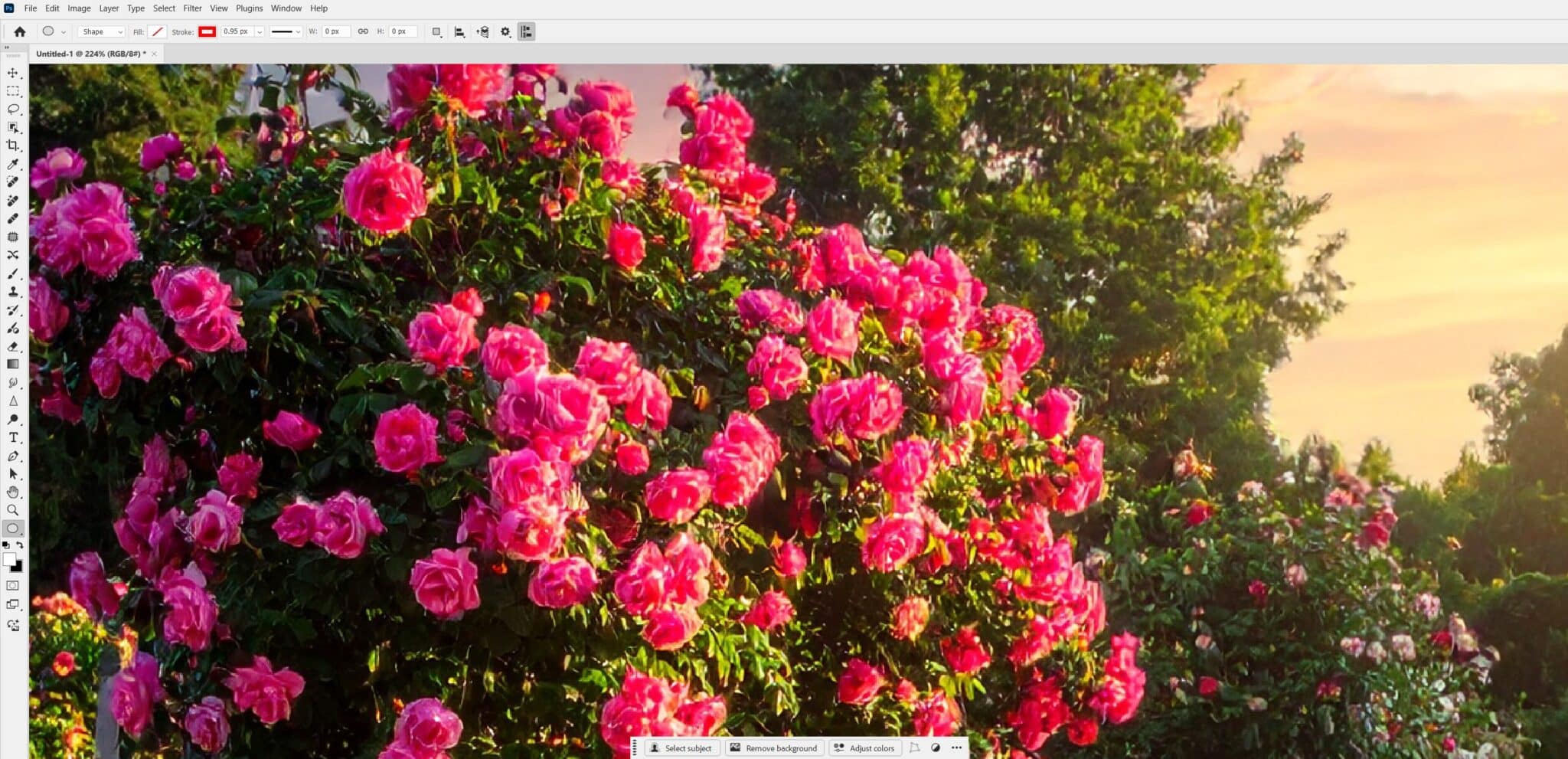 How to Refine Adobe Firefly Generations Directly in Photoshop with ...